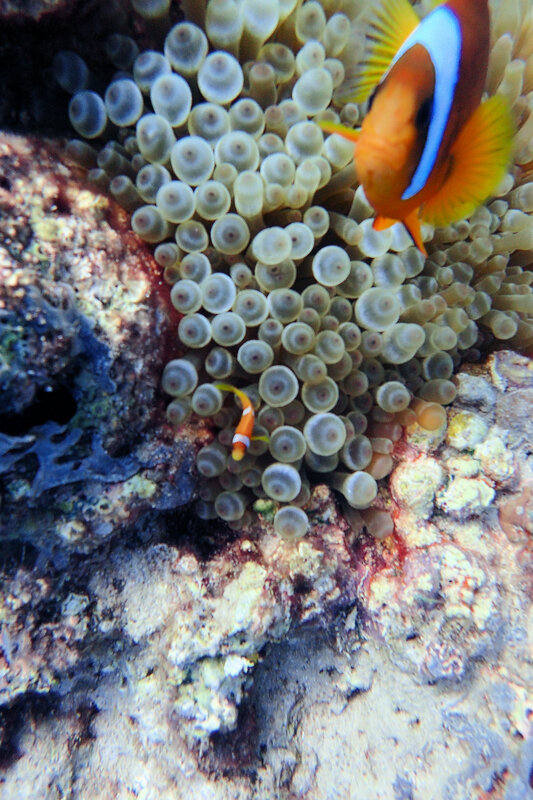 Nomado de 3 jours : Dougoum, Ditilou et les Sables blancs – Le journal ...